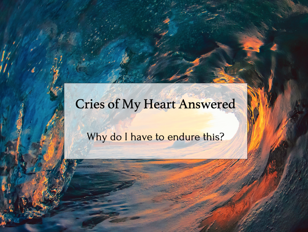 Why Do I Have to Endure This? - Lord Over Limerence